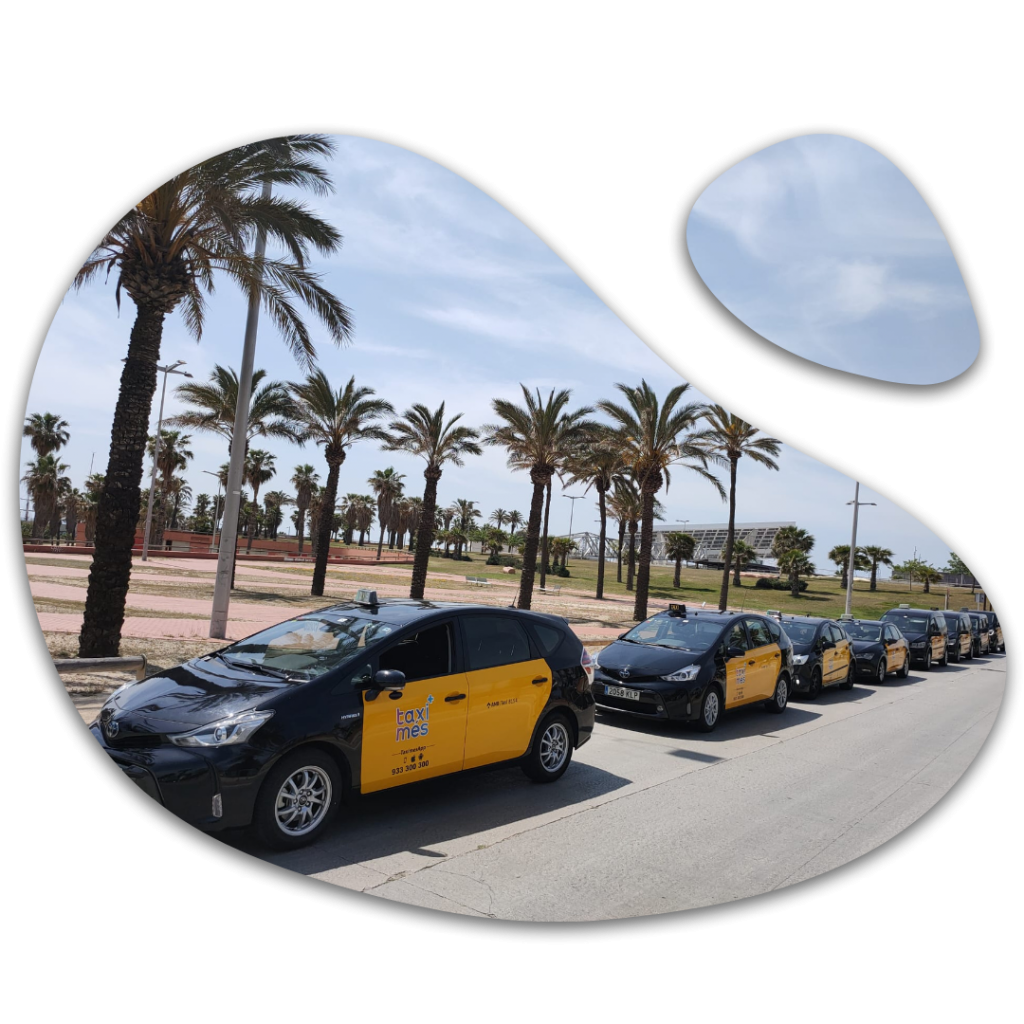 Taxi Fleet Barcelona | Book official taxi in Barcelona